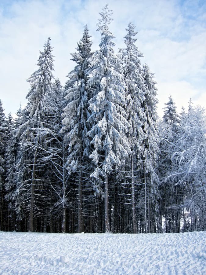 Winter lanscape in Finland stock photo. Image of area - 23494140