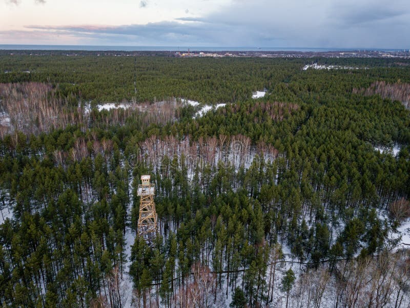 Winter Forest from Above. Drone Aerial Image of Winter Trees Stock ...