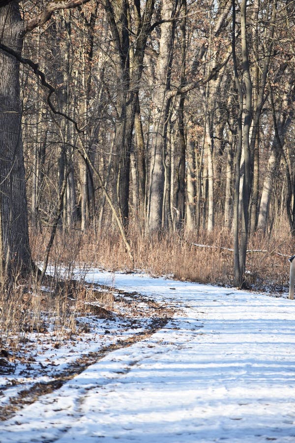 Barren Snowy Field With Irrigation Stock Photo - Image of farmed, corn ...