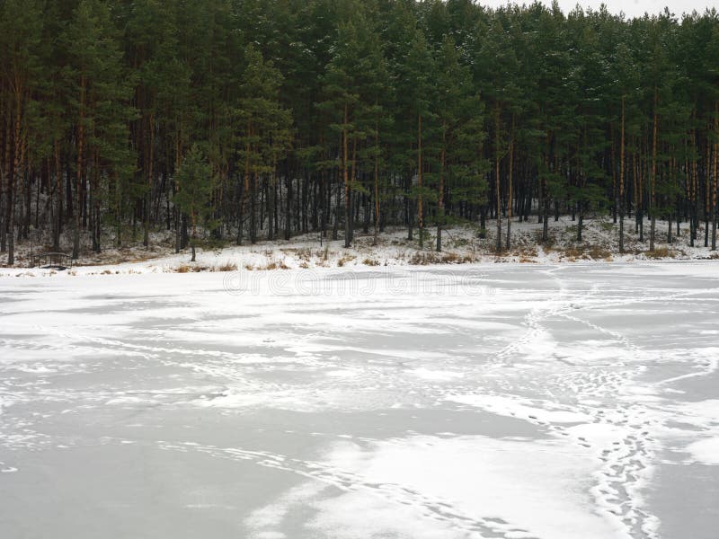 River Covererd Stock Photos - Free & Royalty-Free Stock Photos from ...