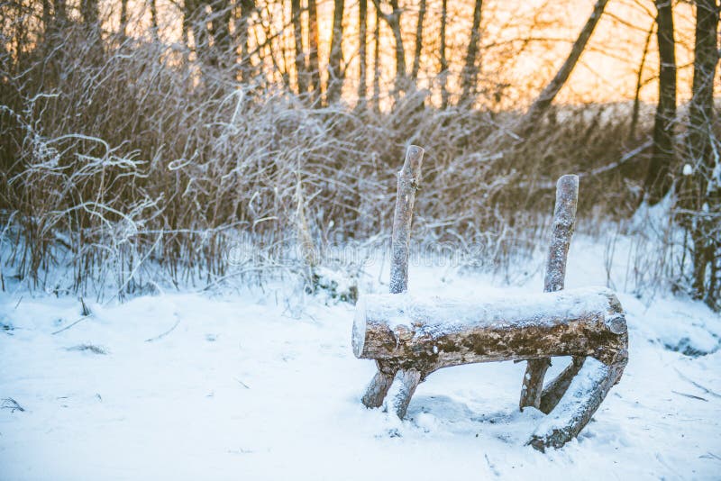 Winter forest and bench stock image. Image of background - 78452641