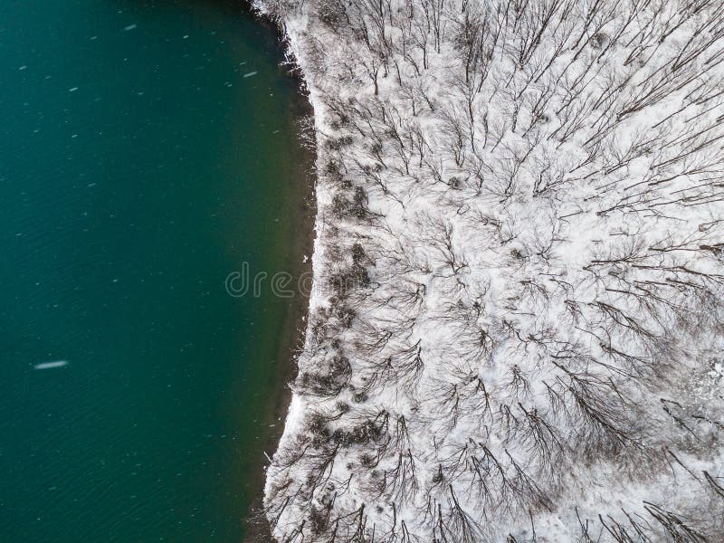 Winter Forest and Blue Lake Water. Top Down Abstract Drone View Stock ...