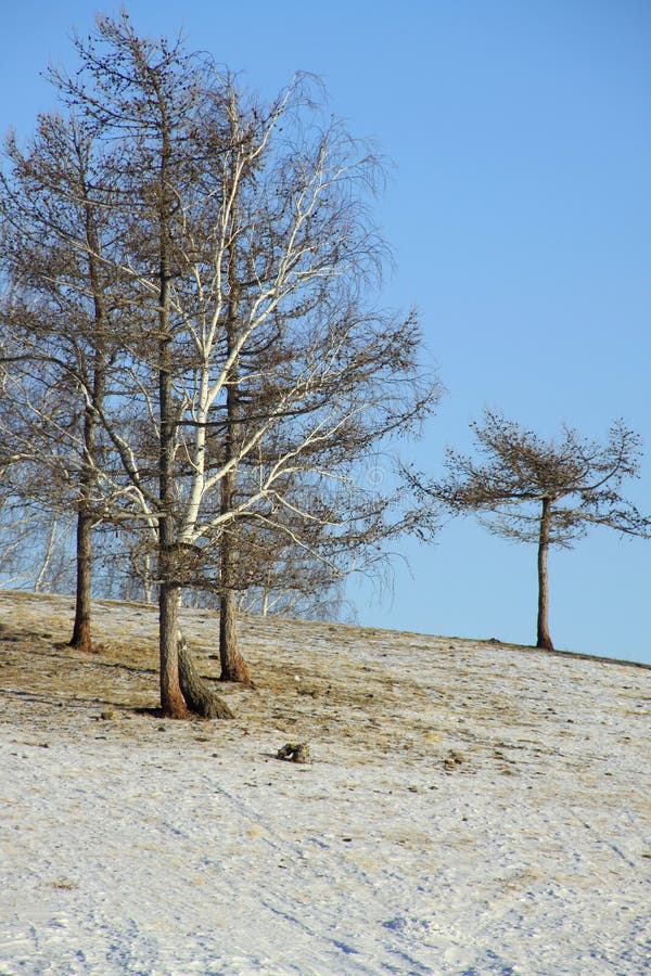 Waiting for the spring stock image. Image of life, blue - 132619183