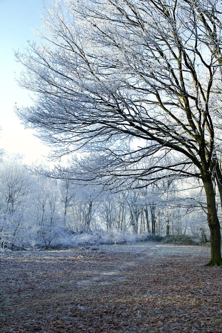 1,546 Freezing Border Stock Photos - Free & Royalty-Free Stock Photos ...