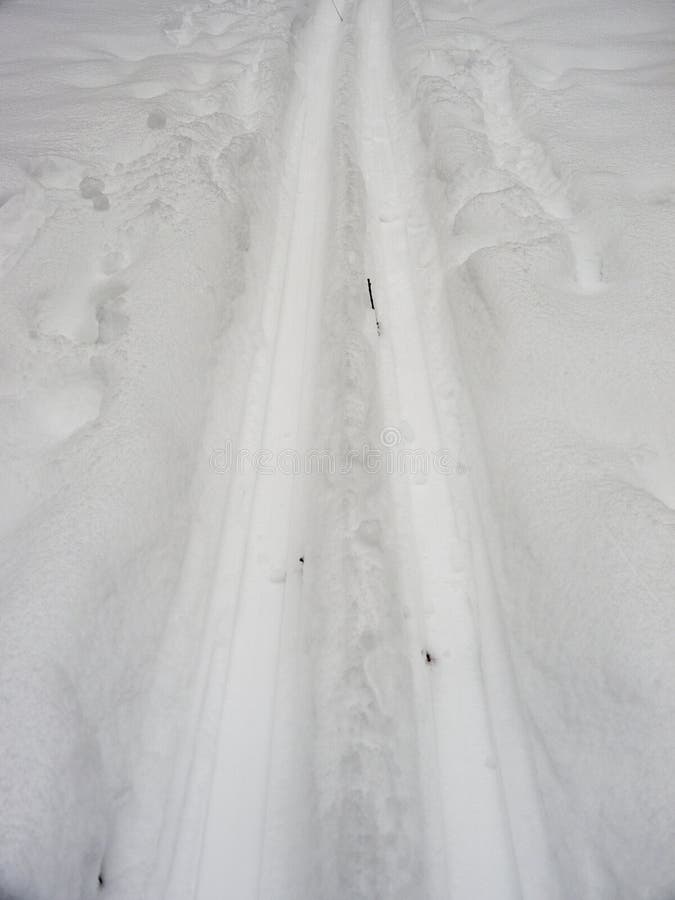 Winter Forest Clear Ski Trail in Snow Top View Stock Photo - Image of ...