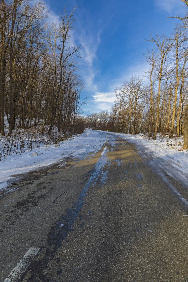 Winter Forest in Clear Weather in the Mountains Stock Photo - Image of ...