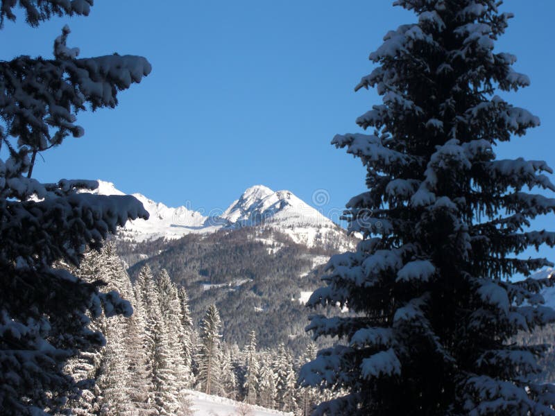 Frory Stock Photos - Free & Royalty-Free Stock Photos from Dreamstime