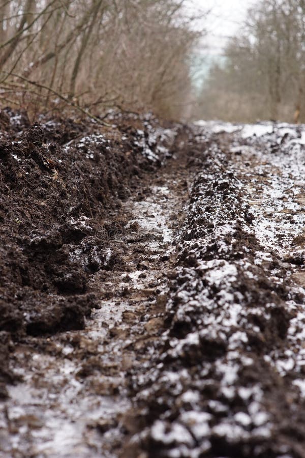 Winter Forest with Dirt Road in the First Snow Stock Photo - Image of ...