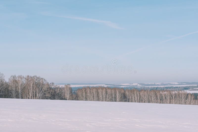 Winter Forest. Forest in the Distance in the Winter Stock Image - Image ...