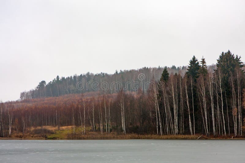 Winter Forest and Frozen Lake in Cloudy Weather. Stock Photo - Image of ...