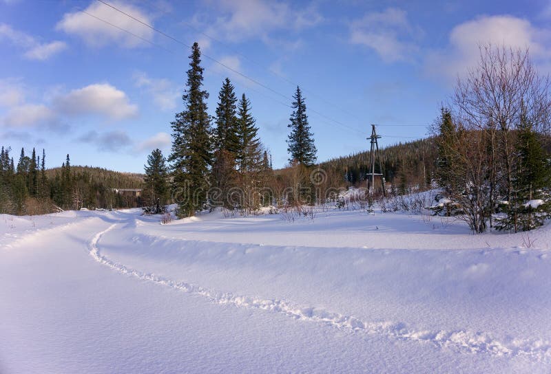 Winter Forest Path, Snow Covered Trees Stock Photo - Image of ...