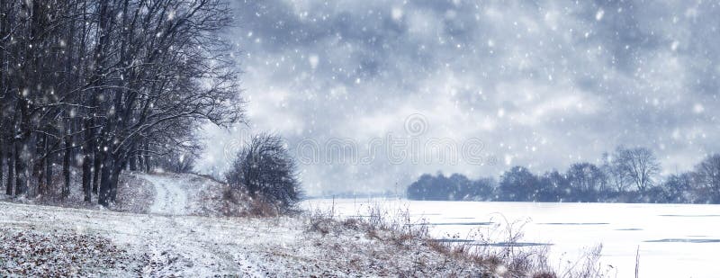 Winter Forest Near the River during Snowfall. Thick Dark Clouds Over ...