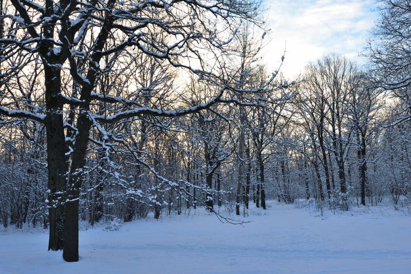 Winter, Winter-tide, Winter-time, Hibernate, he Coldest Season of the ...