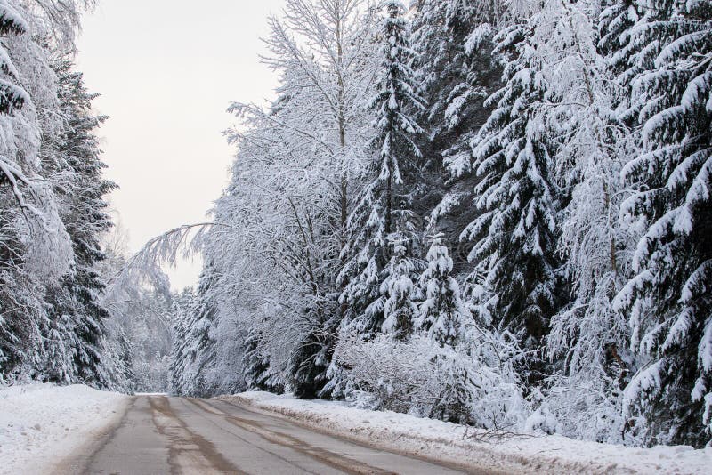 Winter Forest Panorama Motor Road Stock Image - Image of snowy, driving ...