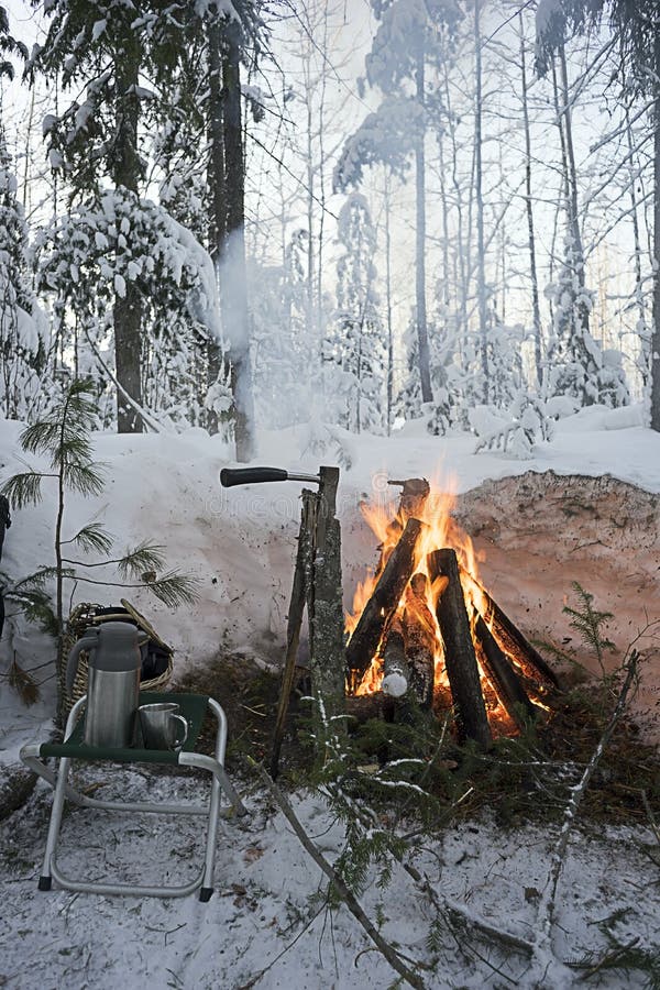 In the Winter Forest on a Picnic at the Burning Fire. Stock Image ...