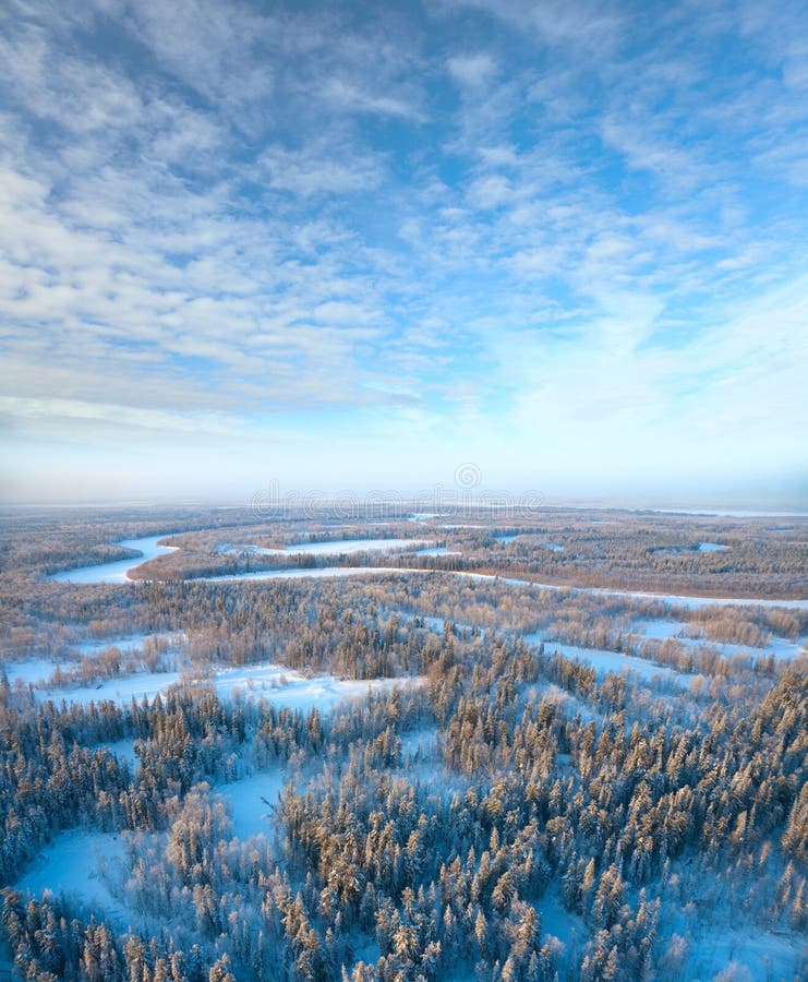 Forest of Plain and Small River in Winter Stock Image - Image of season ...