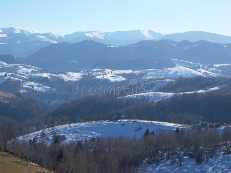 Winter forest preview stock photo. Image of romania, natural - 48225992