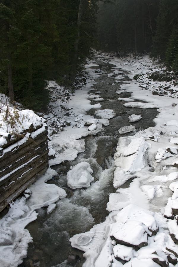 Winter forest river stock image. Image of nature, season - 12751053