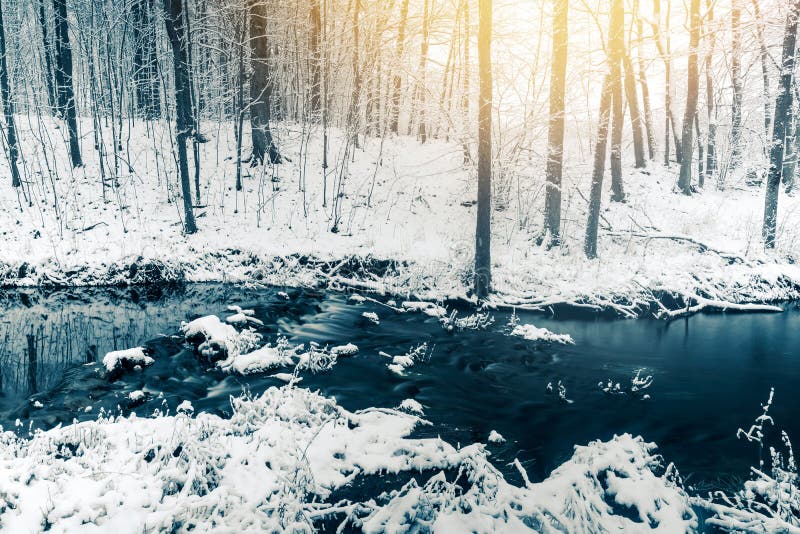 Winter forest river view stock image. Image of december - 206844677
