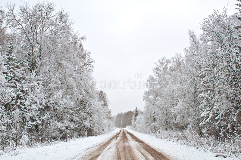 Winter forest and road stock photo. Image of freeze, countryside - 22018226