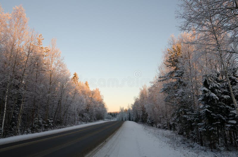 Winter Forest Road in a Magical Light Stock Photo - Image of slippery ...