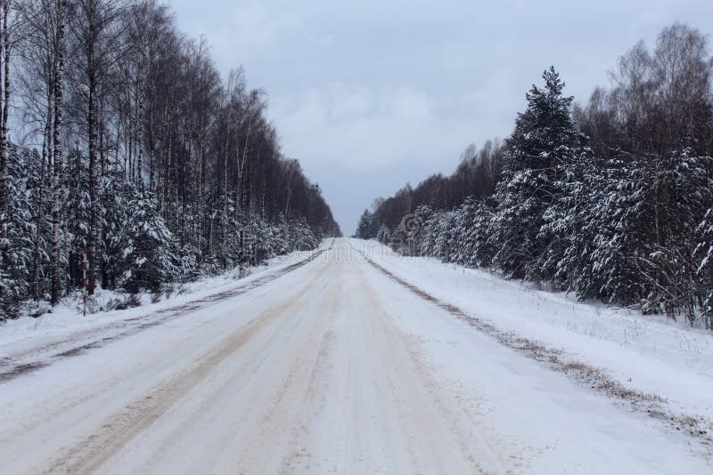 Winter Forest Road in Snow Surrounded by Trees, Winter Landscape Stock ...