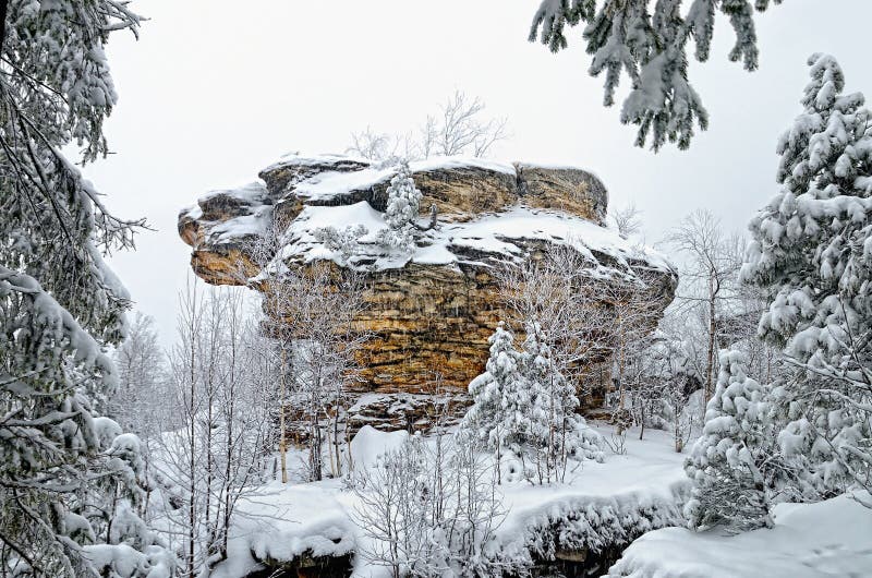 Winter forest rock. stock photo. Image of frozen, landscapes - 63113502