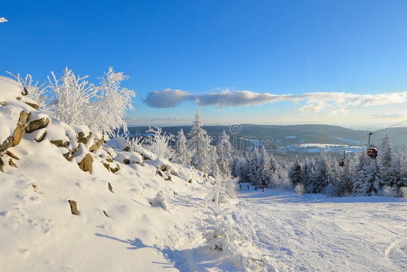 Winter Forest Scenery Frosty Coldly Stock Image - Image of nature, snow ...