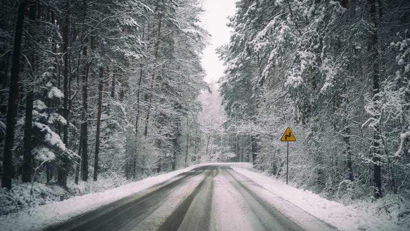 Winter Forest Scenery View from a First Person Perspective Stock Photo ...