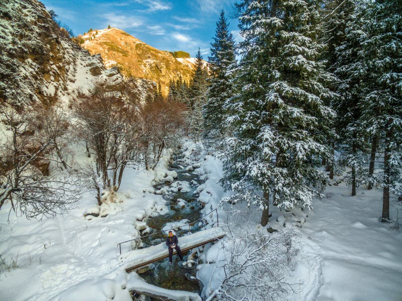 Winter Forest Snow River Flow Landscape. Forest River Flow in Winter ...