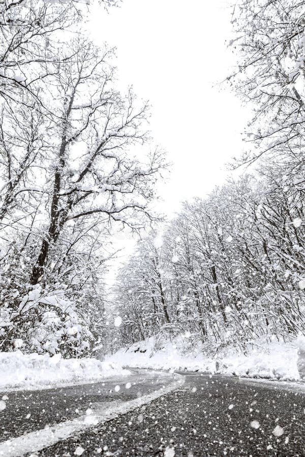 Winter Forest Snow Road. Forest Road Winter Snow View Stock Image ...