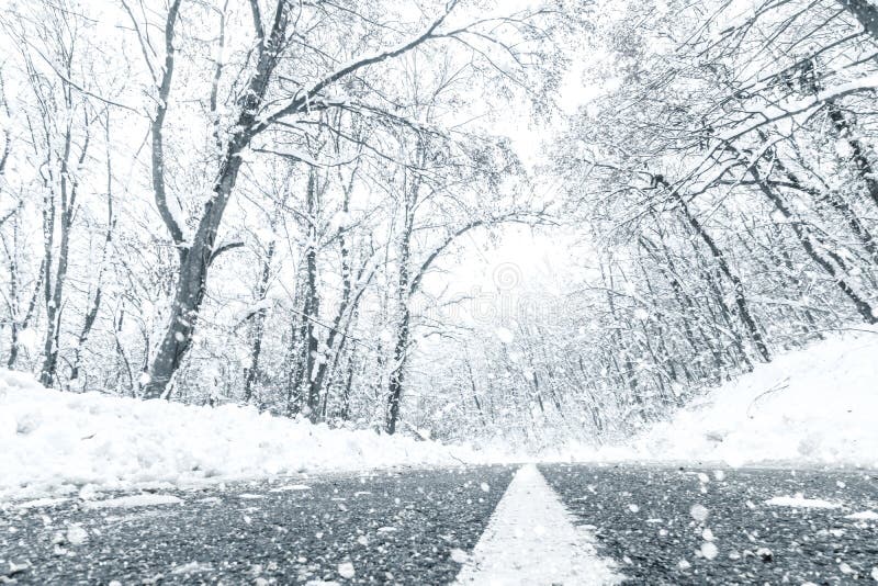 Winter Forest Snow Road. Forest Road Winter Snow View Stock Photo ...