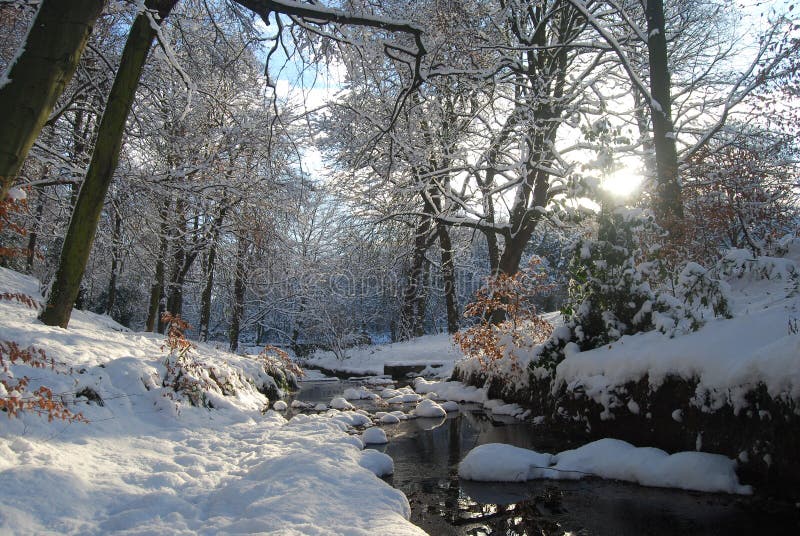 Winter forest with stream stock image. Image of sunny - 28827663