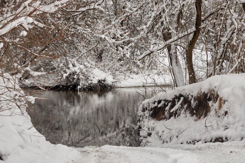 Winter Forest Stream. Trees in the Snow. Stock Image - Image of morning ...