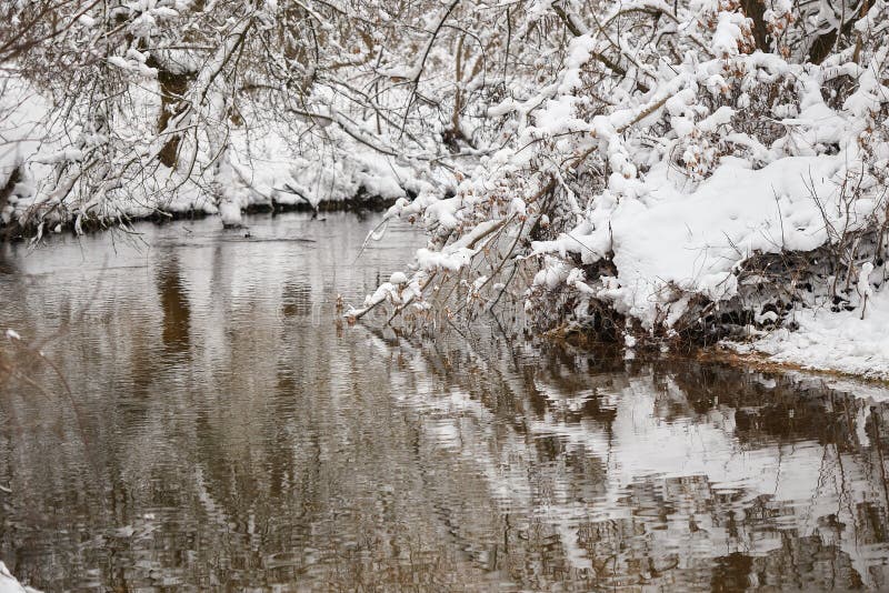 Winter Forest Stream. Trees in the Snow. Stock Image - Image of park ...