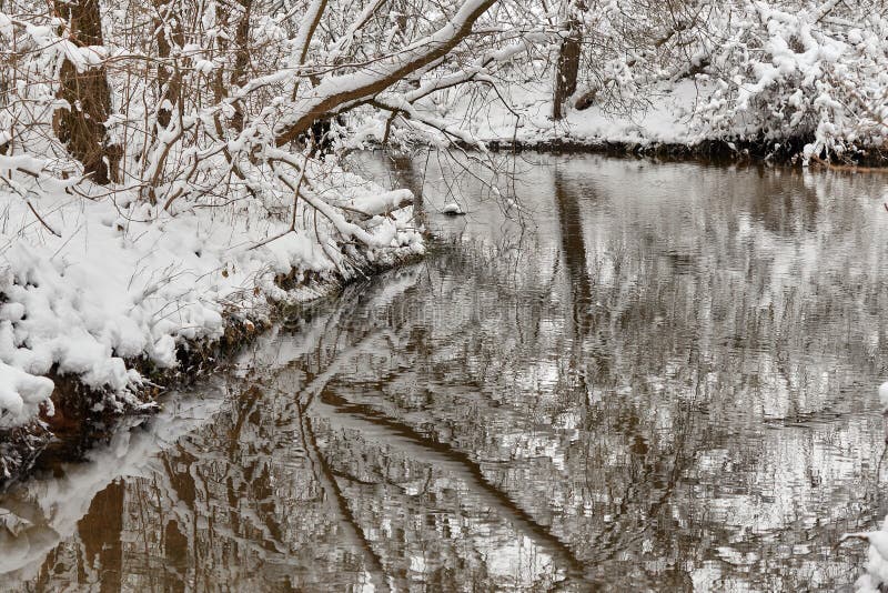 Winter Forest Stream. Trees in the Snow. Stock Photo - Image of ...