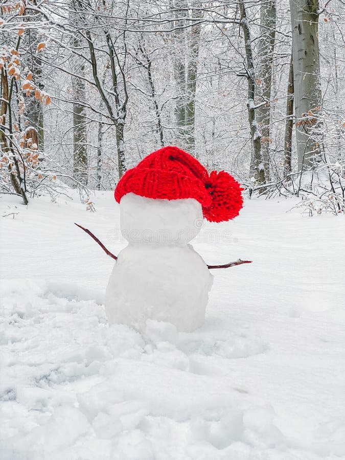 In the Winter Forest, There S a Little Snowman with a Red Hat Stock ...