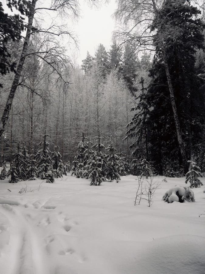 152 Howling Wind Stock Photos - Free & Royalty-Free Stock Photos from ...