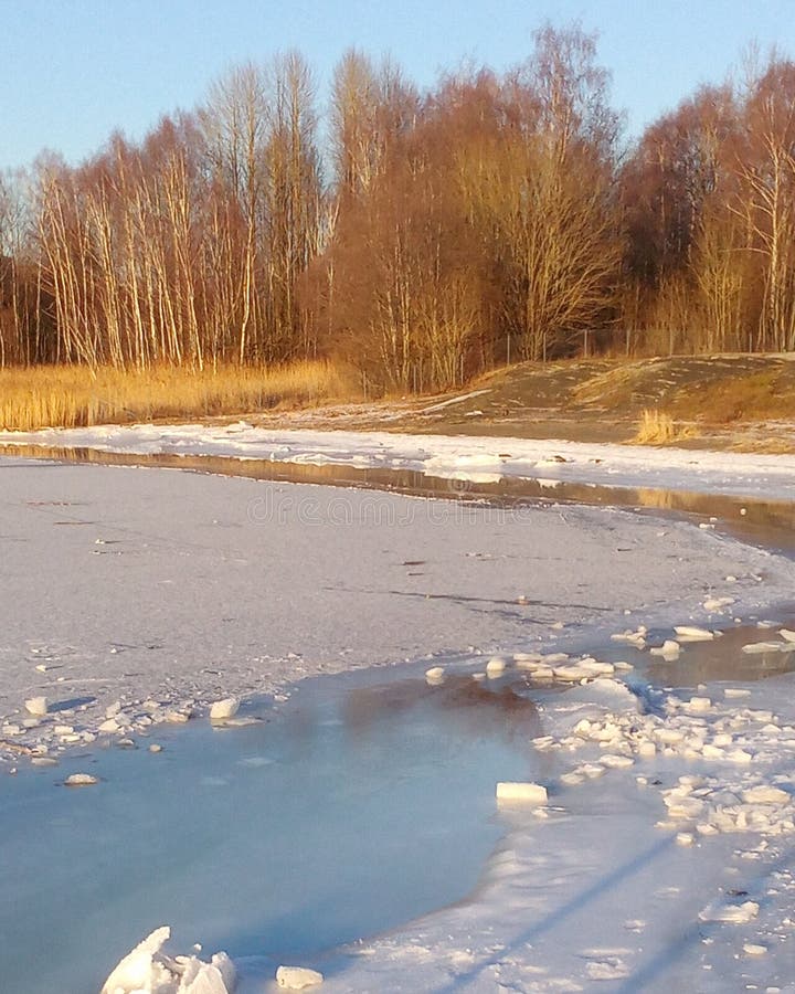 Winter in Fornebu stock photo. Image of frost, river - 219889102