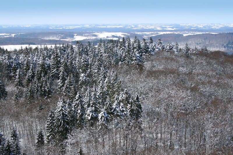 Winter, Snow, Tree, Photograph Picture. Image: 101171401
