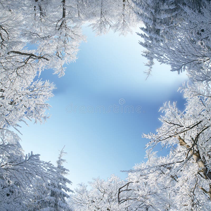 Winter frame stock photo. Image of copy, frame, coated - 30085408