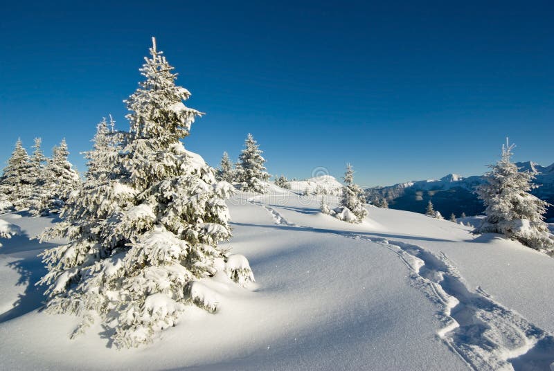 Winter in French alps stock image. Image of hiking, skiing - 8115865