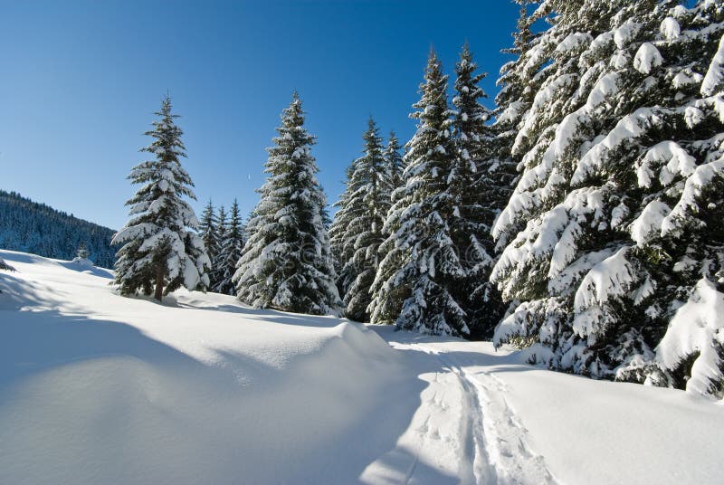 Winter in French alps stock image. Image of skiing, personne - 8116349