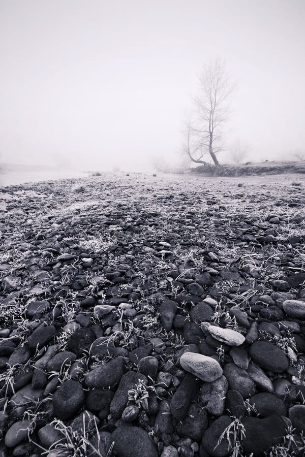 Winter Frost and Fog - Monochrome Stock Photo - Image of scene ...