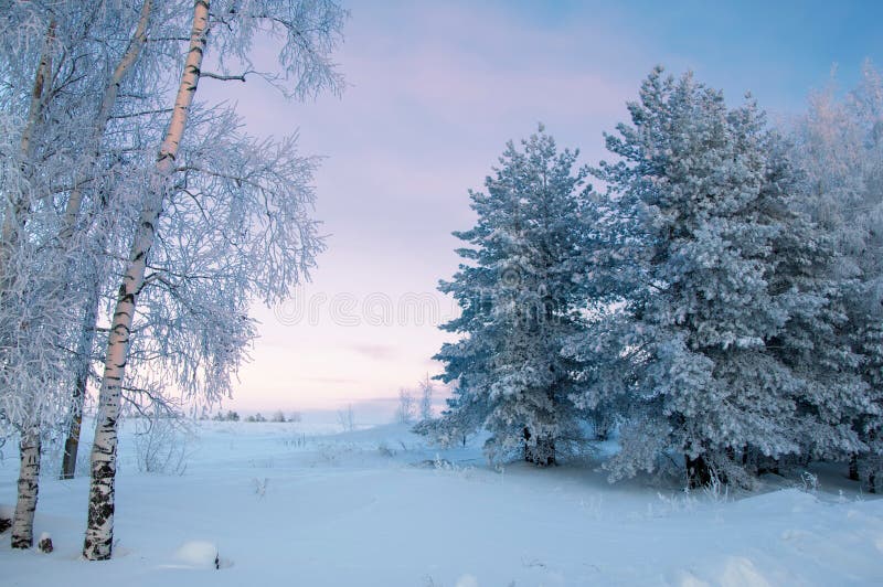 Winter frost sunset stock photo. Image of freeze, dark - 121121168