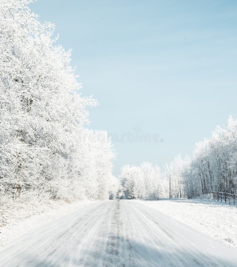 Beautiful Winter Day stock photo. Image of frosty, closeup - 82155006