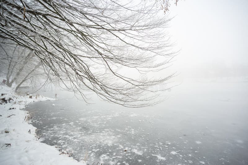 Winter frozen lake in fog stock photo. Image of picturesque - 255015508