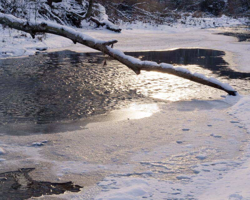 Winter: Frozen Lake and Log Stock Image - Image of tree, freezing: 50403187