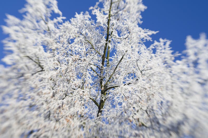 Winter stock image. Image of decoration, nature, blue - 84157715