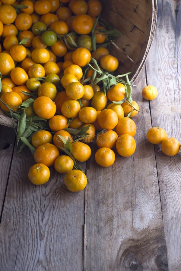 Winter fruit Mandarin stock image. Image of natural, vegan - 84286623